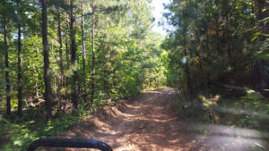 Trail Riding at Mack's Pines - AR Own Backyard