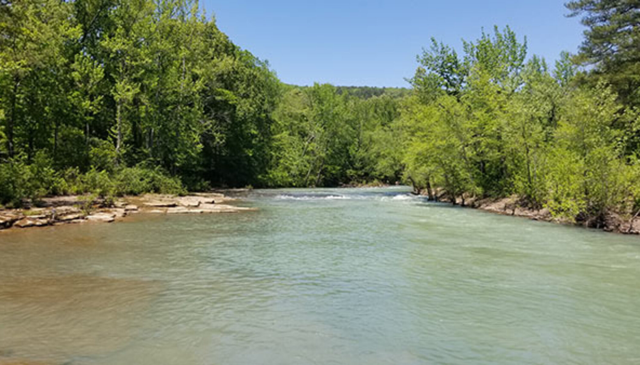#mulberryriver Archives - AR Own Backyard