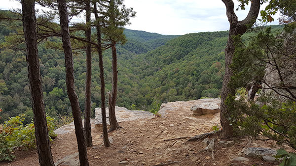 Hike to Whitaker Point(Hawksbill Crag) - AR Own Backyard