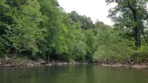 Floating the Cove Creek run on Cadron Creek - AR Own Backyard