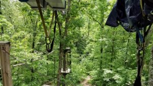 Loco Ropes Treetop Adventure Park in Mountain View - AR Own Backyard