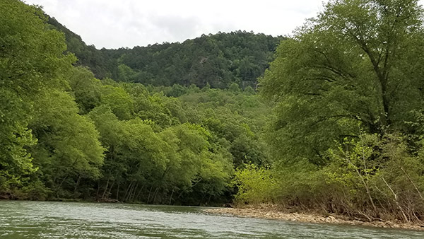 Middle Fork Little Red River Float - AR Own Backyard