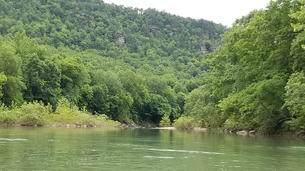 Middle Fork Little Red River Float - AR Own Backyard