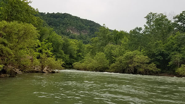 Middle Fork Little Red River Float - AR Own Backyard