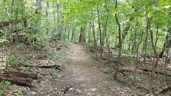 Round Top Mountain Hiking Trails - AR Own Backyard