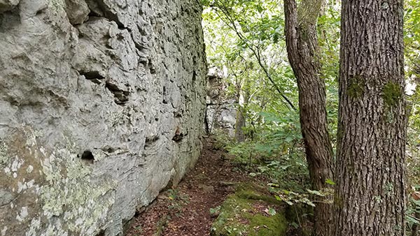 Round Top Mountain Hiking Trails - AR Own Backyard