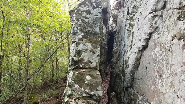 Round Top Mountain Hiking Trails - AR Own Backyard