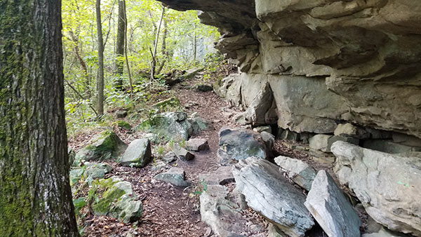 Round Top Mountain Hiking Trails - AR Own Backyard