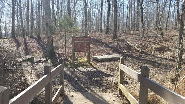 Hiking the Kings Bluff Loop - AR Own Backyard