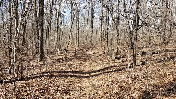 Hiking the Kings Bluff Loop - AR Own Backyard