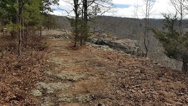 Hiking the Kings Bluff Loop - AR Own Backyard