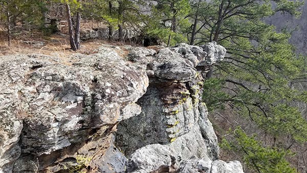 Hiking the Kings Bluff Loop - AR Own Backyard