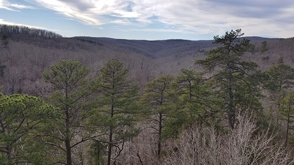 Hiking the Kings Bluff Loop - AR Own Backyard