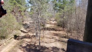 Ziplining at Adventureworks in Hot Springs - AR Own Backyard