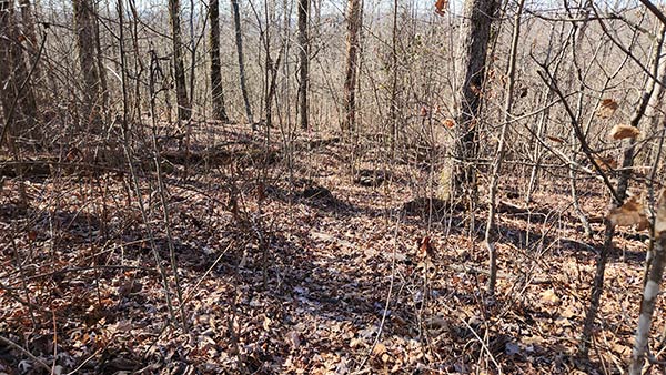 Native American Falls Hike Near Sand Gap - AR Own Backyard