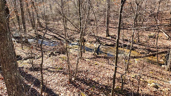 Native American Falls Hike Near Sand Gap - AR Own Backyard
