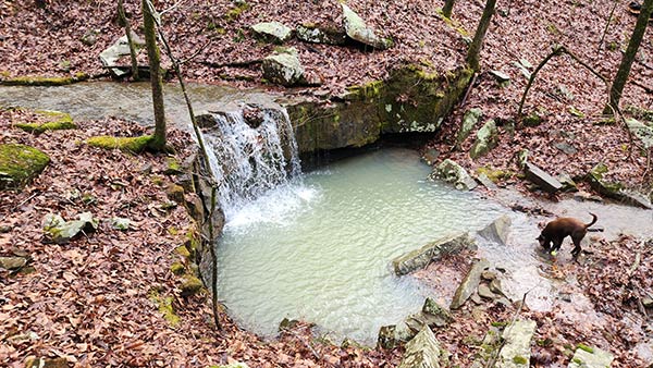 Hiking to Lizard Log Falls Near Lost Corner - AR Own Backyard