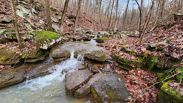 Hiking to Lizard Log Falls Near Lost Corner - AR Own Backyard