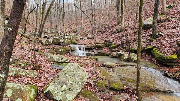 Hiking to Lizard Log Falls Near Lost Corner - AR Own Backyard