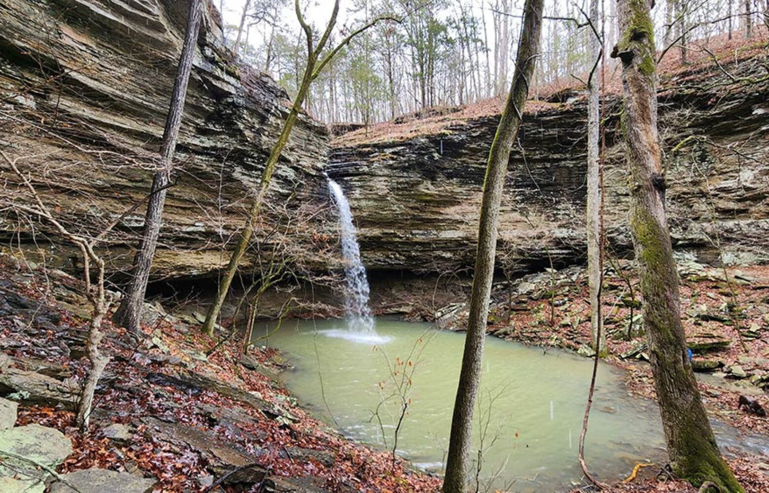Home - AR Own Backyard
