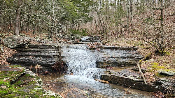 Hike to Iris Falls Near Lost Corner - AR Own Backyard