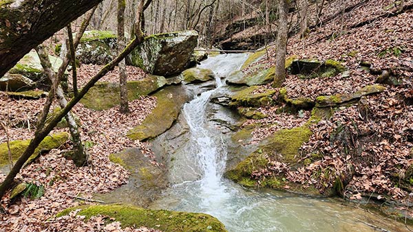Hike to Iris Falls Near Lost Corner - AR Own Backyard