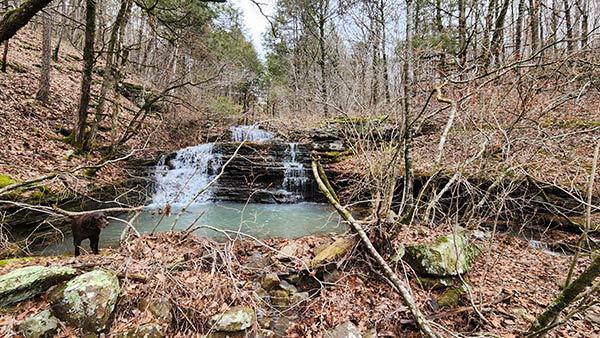 Hike to Iris Falls Near Lost Corner - AR Own Backyard