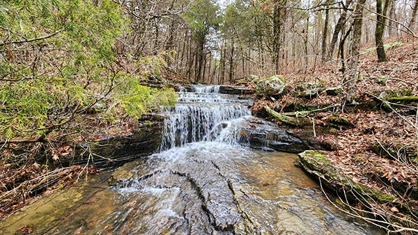 Hike to Iris Falls Near Lost Corner - AR Own Backyard