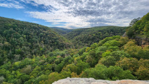 Hike to Whitaker Point(Hawksbill Crag) - AR Own Backyard
