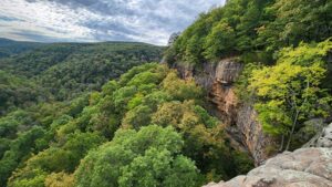 Hike to Whitaker Point(Hawksbill Crag) - AR Own Backyard