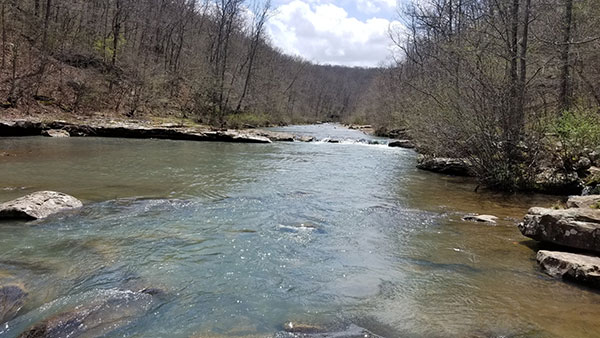 Hike to Kings River Falls - AR Own Backyard