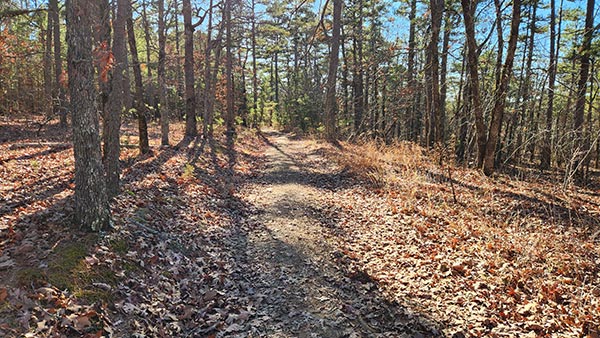 Hiking at Stem Rock Natural Area - AR Own Backyard