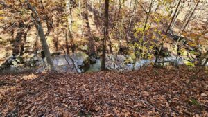 Hike to Hemmed in Hollow from the Compton Trailhead - AR Own Backyard