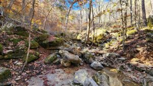 Hike to Hemmed in Hollow from the Compton Trailhead - AR Own Backyard