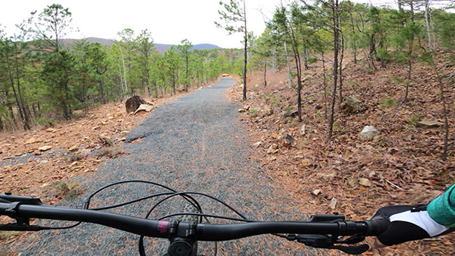 Mountain Biking at The Trails at Mena - Ward Lake Trail System - AR Own ...